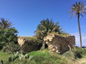 The Tantura massacre of 1948 and the academic character assassination ...