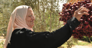 Just World Books publishes second edition of ‘The Gaza Kitchen ...