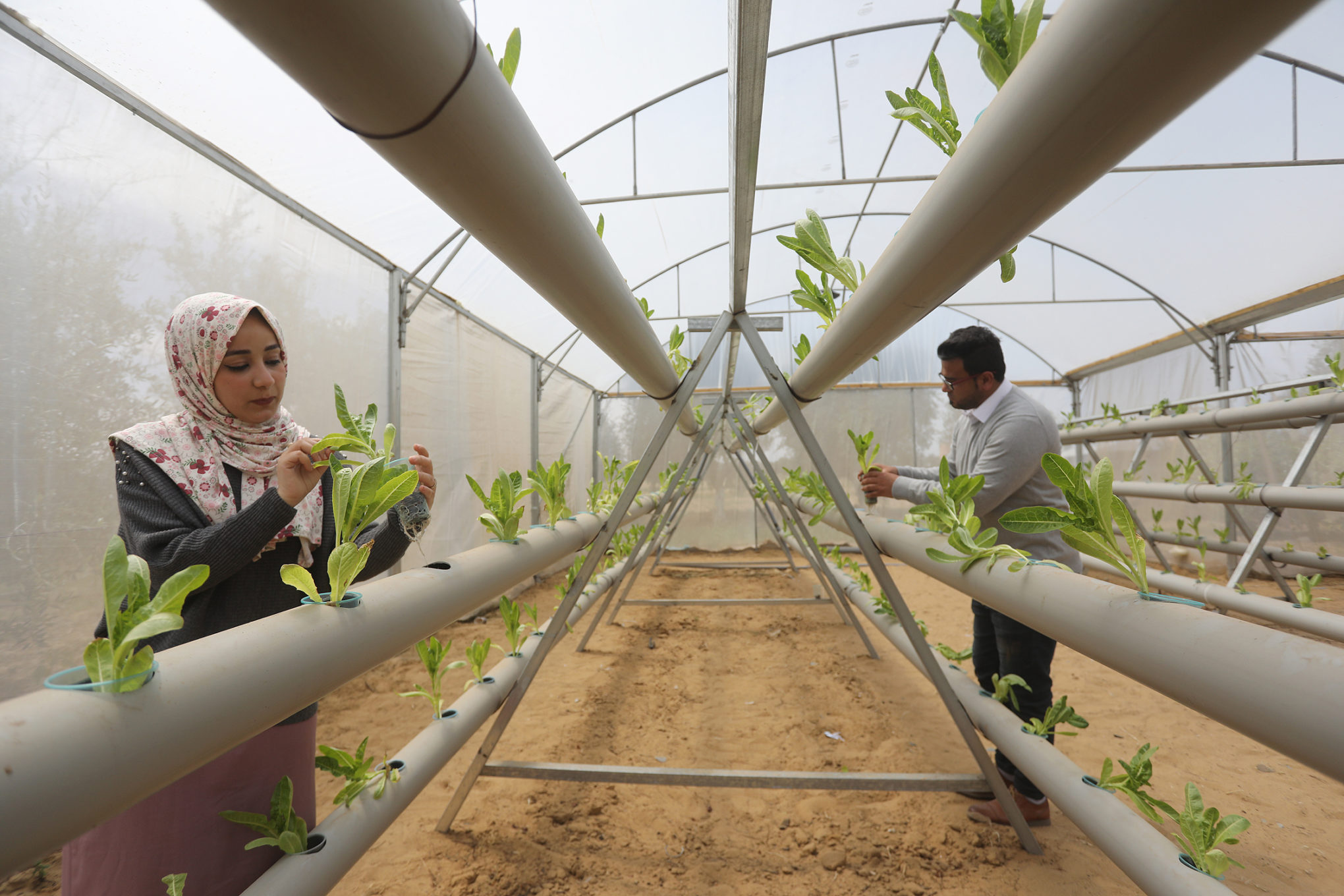 Photo essay: The most beautiful places in Gaza – Mondoweiss