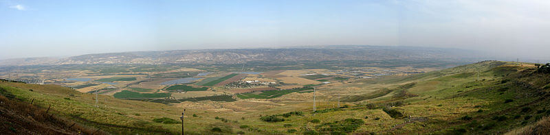 Israeli settlers loose cattle on Palestinian barley and wheat fields ...