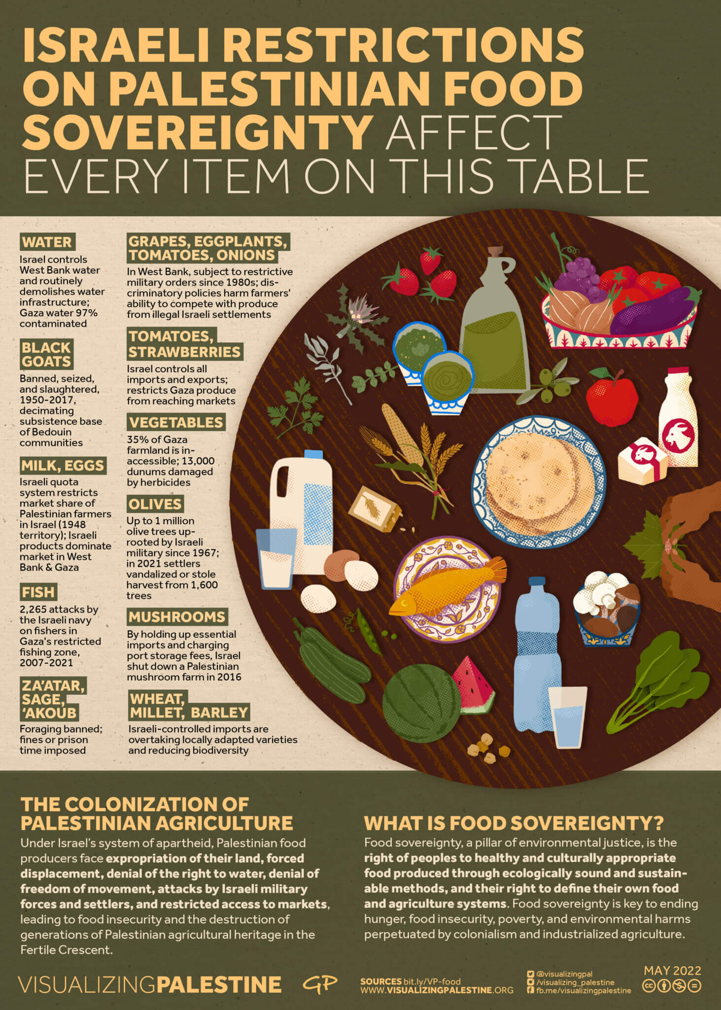 Food sovereignty as a path to liberation and justice – Mondoweiss