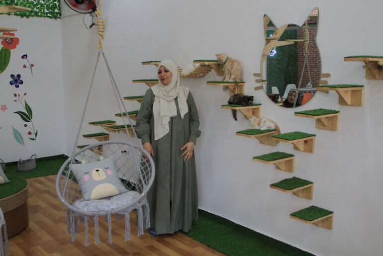 Inside Gaza’s first Cat Cafe — a refuge for some, but unattainable for ...